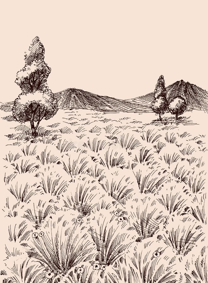 Wilderness drawing stock vector. Illustration of cliffs - 102873430