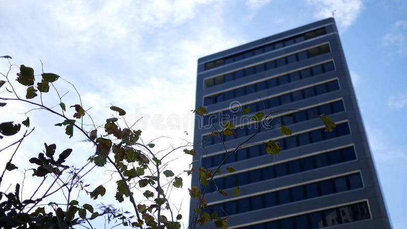 A Tall Gray Apartment Condo or Office Corporate Building Stock Image ...
