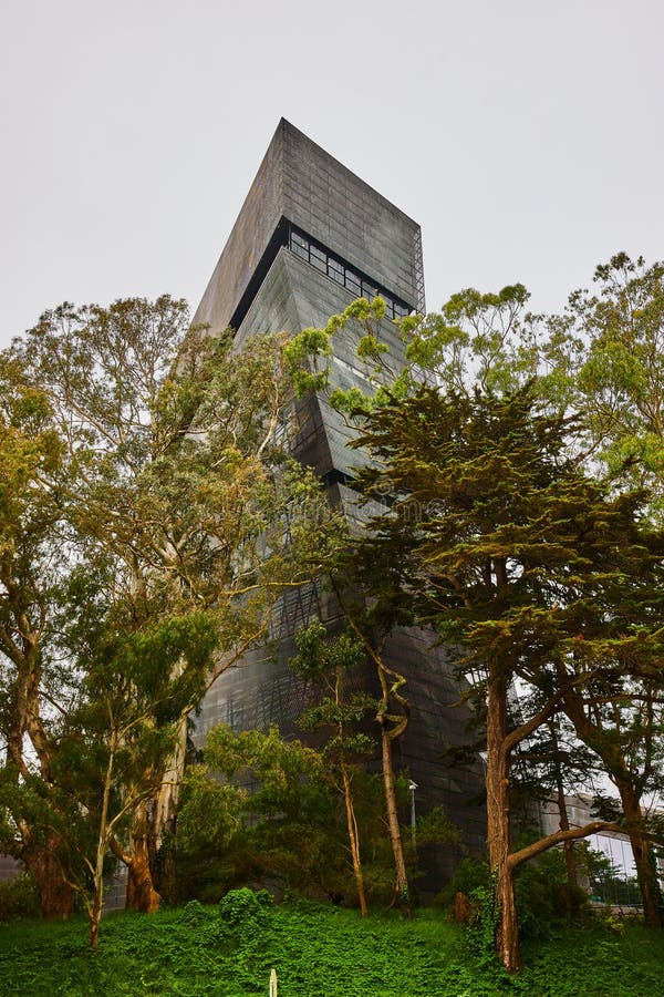 Tall Gray Building Hidden among Forest of Trees and Plant Life Stock ...