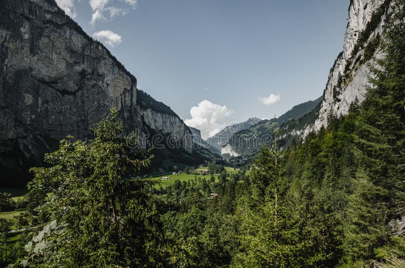 Tall Green Trees in the Middle of the Hills Stock Photo - Image of ...