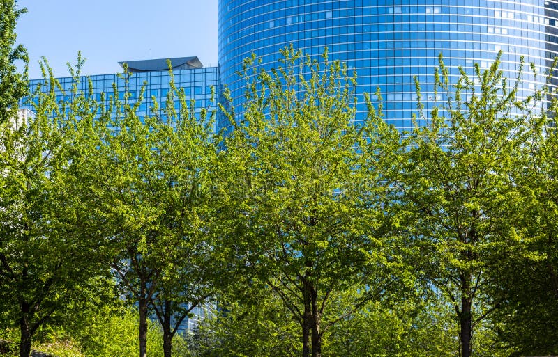 Tall Grown Trees in Front of High Office Building Stock Image - Image ...