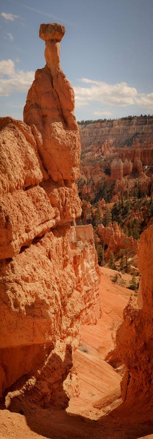 A Tall Hoodoo Above Bryce Canyon Stock Photo - Image of park, tree ...