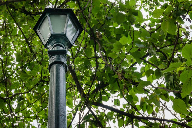A Tall Lamp Post on the Road Side with Green Trees on the Background ...