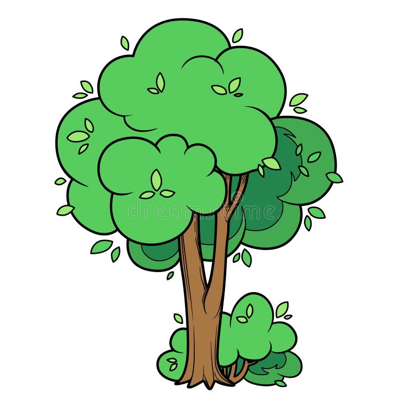 Tall Lush Foliar Tree Color Variation Isolated on White Stock Vector ...