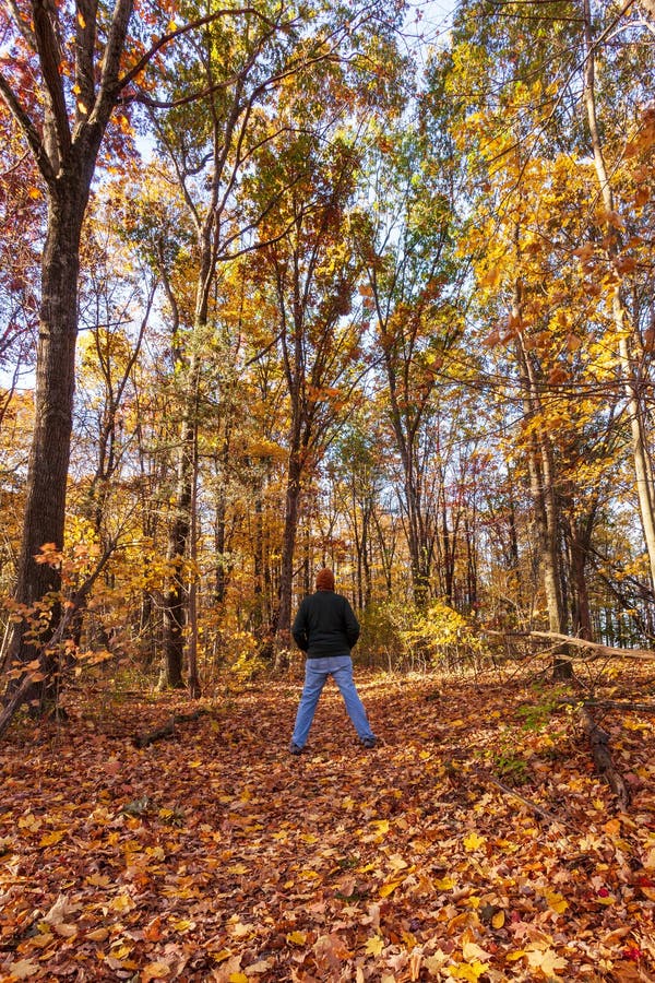 A Tall Man Standing in the Middle of a Forest Stock Image - Image of ...