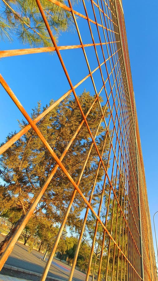 Tall Metal Fence in Front of Trees Stock Photo - Image of tower ...