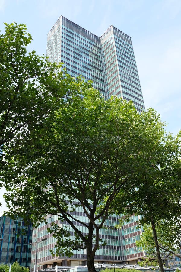 Tall Modern Skyscraper with a Glass Facade Rises Behind Lush Green ...