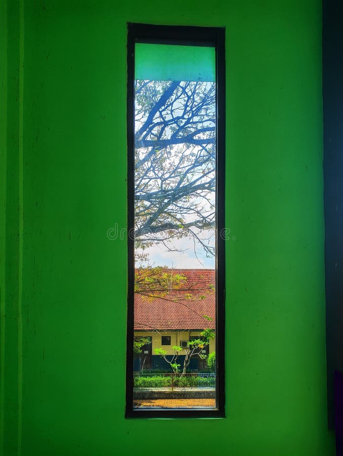 2,101 Narrow Tall Wall Bookshelves Stock Photos - Free & Royalty-Free ...