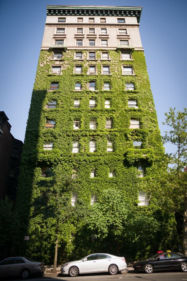 Tall NYC Building Covered with Ivy Stock Image - Image of green ...