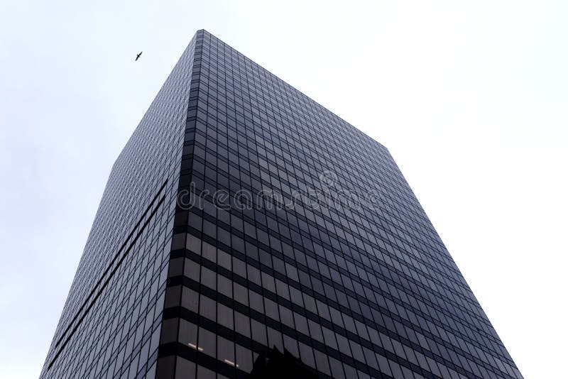 Tall Office Building with a Bird Flying Near by - Low Angle View Stock ...