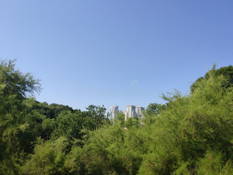 Tall Office Building on a Green Park Background Stock Image - Image of ...