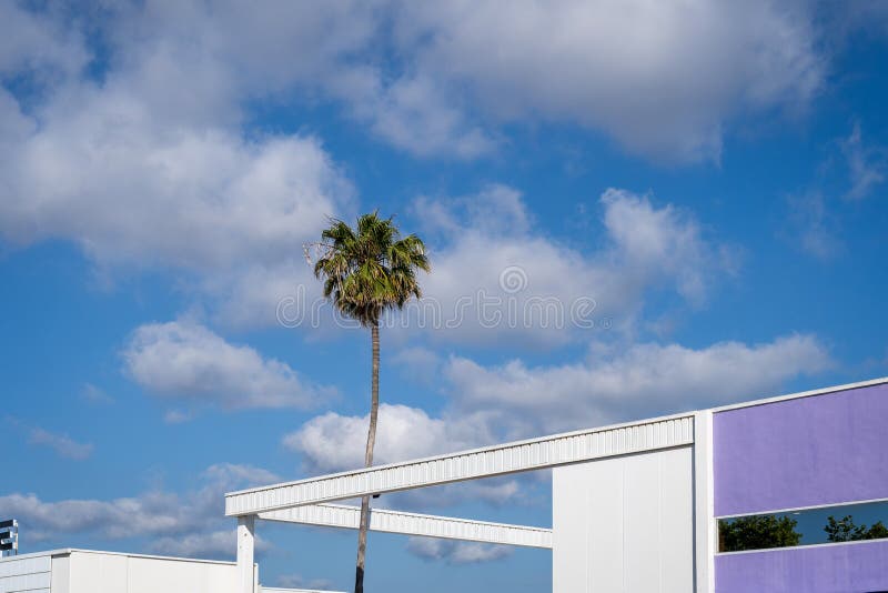 915 Palm Tree Construction Site Stock Photos - Free & Royalty-Free ...