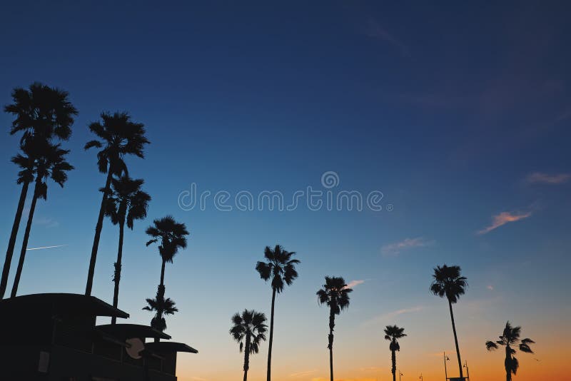 Backlight sunset stock image. Image of heath, flare, clouds - 7781097