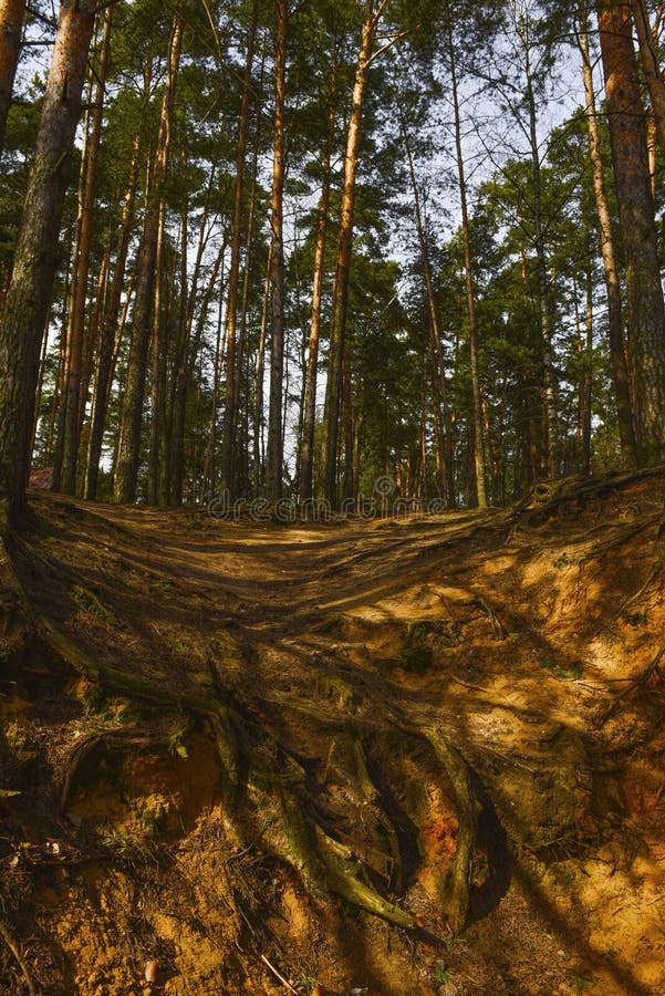 A Man on Top of a Cliff in the Spring Mountains at Sunset and Enjoying ...