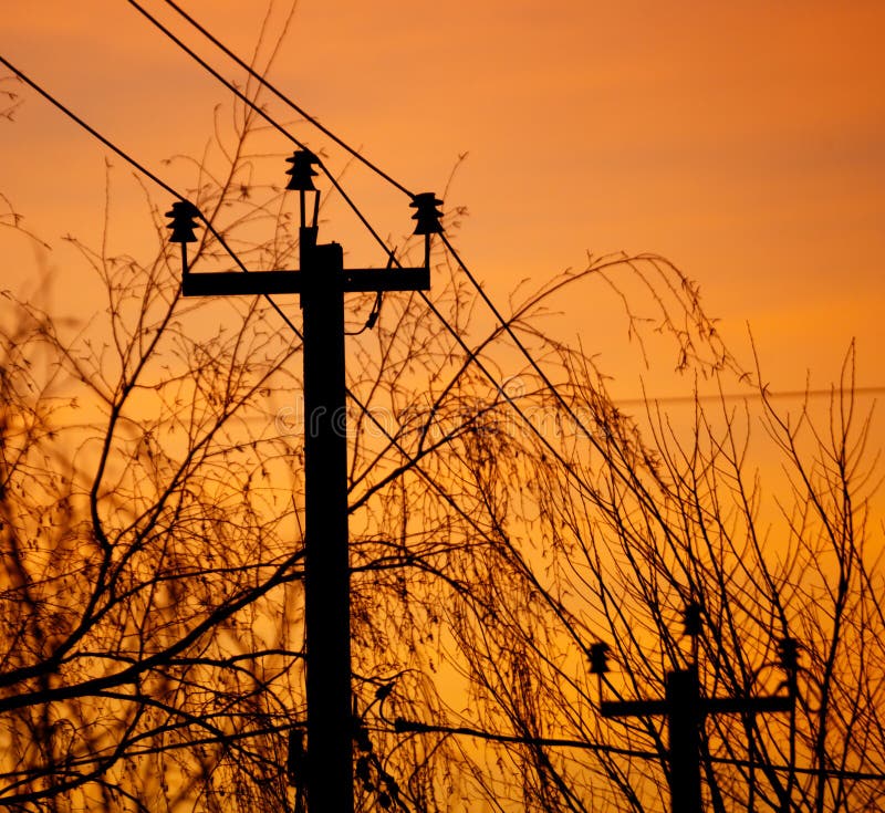 A Tall Power Pole with a Bunch of Branches on it Stock Photo - Image of ...