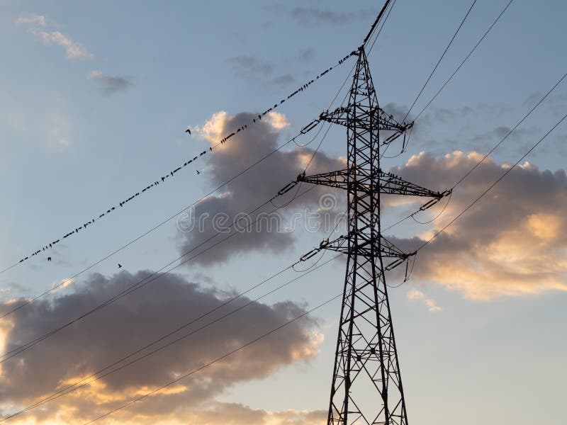 Tall Electricity Power Pole. High Voltage Power Line Stock Image ...