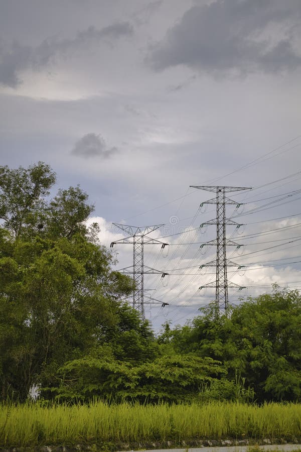 Power Tower with Cables Loom Above Lush Greenery in Suburban of Kuala ...