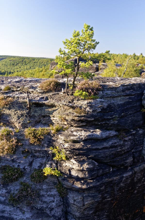 Tall Rock Formations Seen with Some Green Growth in Certain Areas Stock ...
