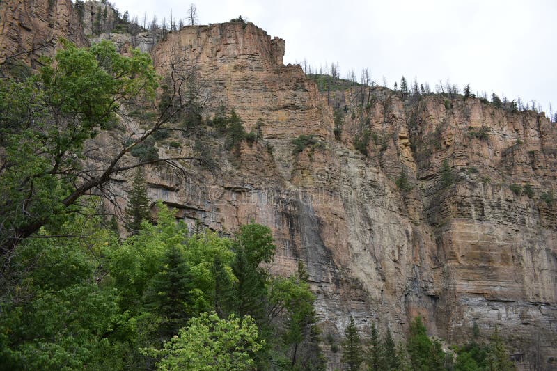 Millions of Years of Layered Rocks with Trees Lining the Cliff Tops ...