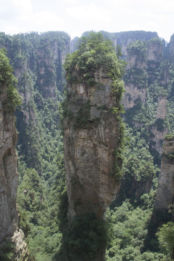 Mountain peaks, forests stock photo. Image of formation - 368146712