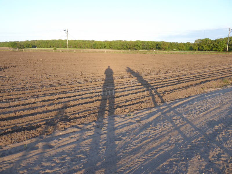 The Tall Shadow of Two People on a Field in the Evening. Stock Image ...