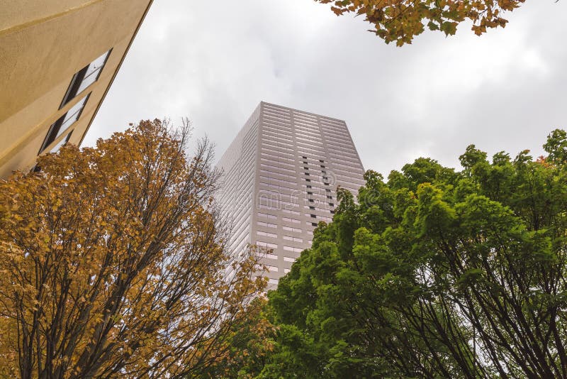 Tall Skyscraper Behind Trees Stock Photo - Image of office, tower: 92405988