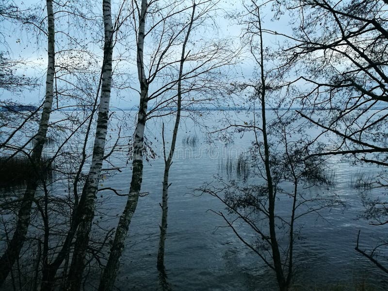Elektrenai Lake and the Forest Stock Photo - Image of silhouetted ...