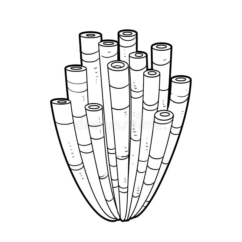Tall Sponge and Coral for Coloring Book Linear Drawing Isolated on ...