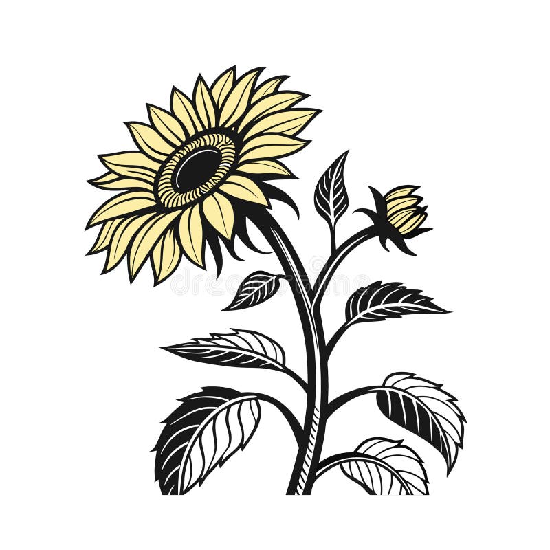 Tall Sunflower Flower Illustration with Bold Outline Stock Illustration ...