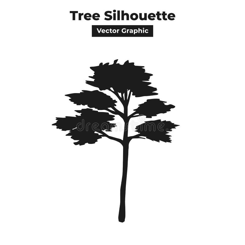 Tall Thin and Log Forest Tree Silhouette with Thin Layer Leaves Bushes ...