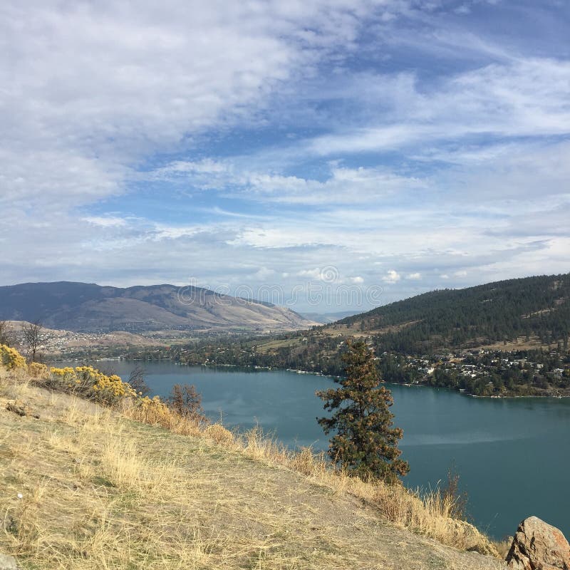 Tall Tree on Hillside of Lake and Mountains Stock Image - Image of ...