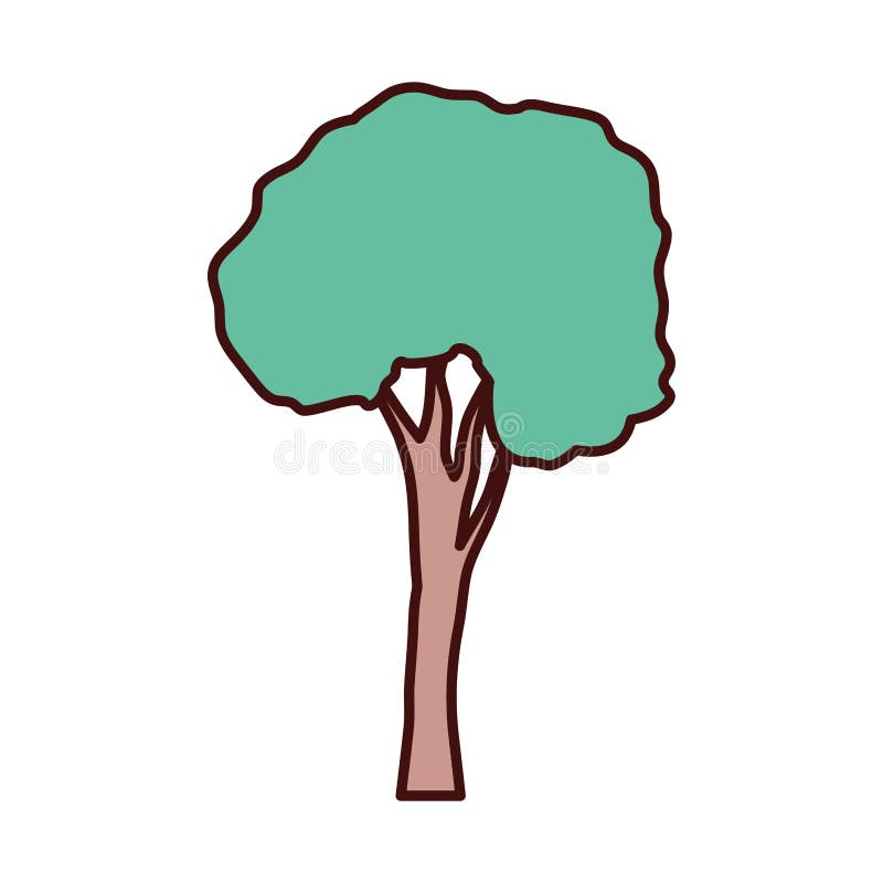 Tall tree isolated icon stock vector. Illustration of plant - 143957857