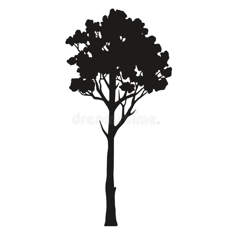 A tall tree stock vector. Illustration of outdoor, plants - 35321805