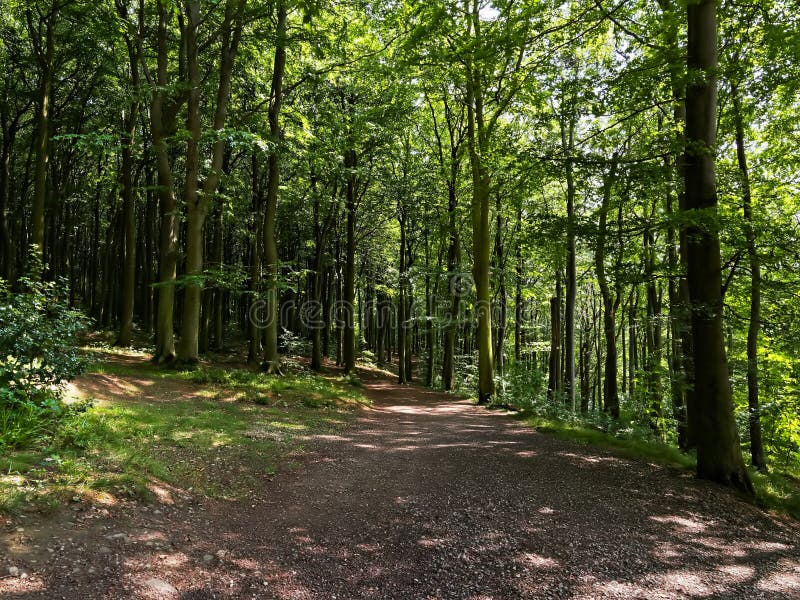 Wide Path Leads Past the Eagle Stone Gritstone Outcrop Stock Photo ...