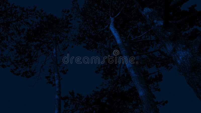 Tall Trees and a Path in the Park with Falling Snow, Blue Color. Stock ...