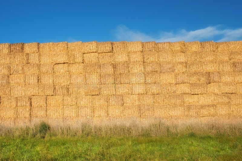 A Tall Wall of Stacked Haybales Stock Image - Image of farming ...
