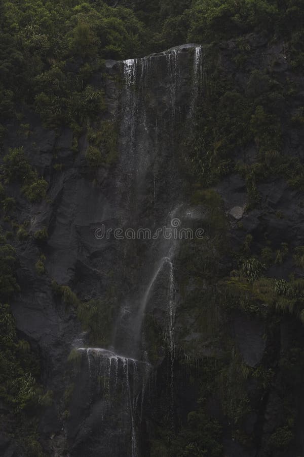 Exploring Waterfalls and Fjords in Southern New Zealands Jungle Stock ...