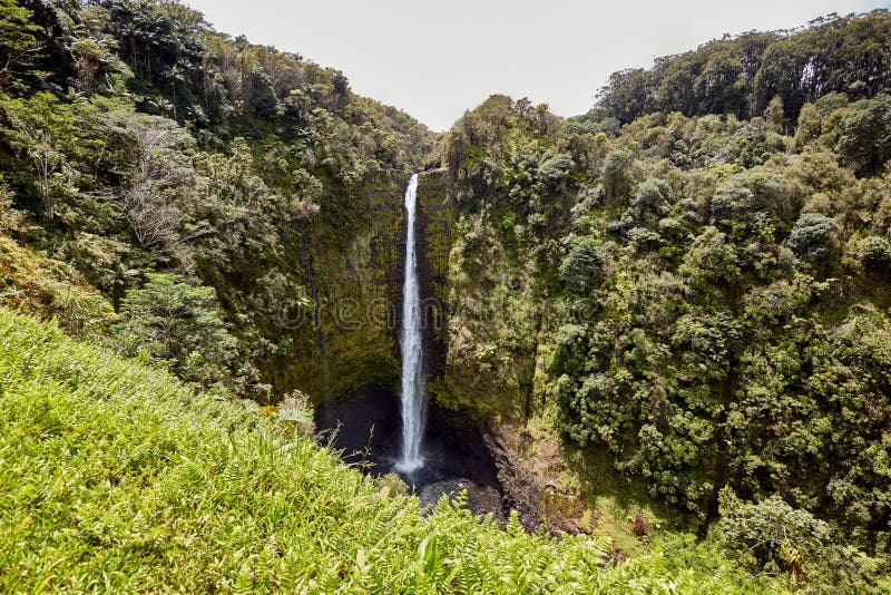Akaka Falls Waterfall Lookout Stock Image - Image of scene, natural ...