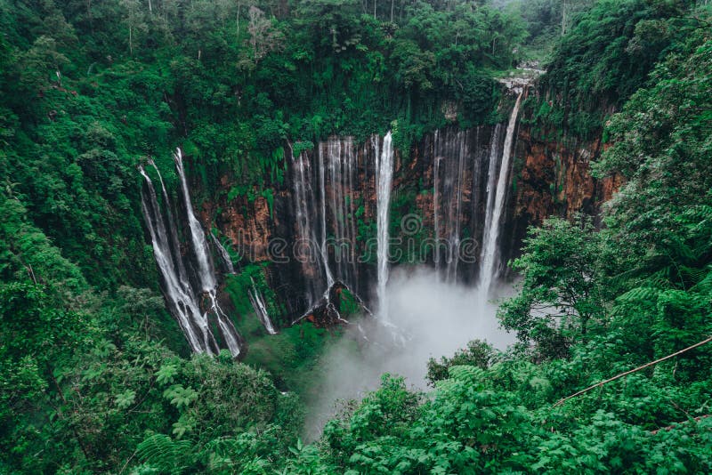 Tall Waterfall in the Middle of a Forest on Java Island Stock Image ...