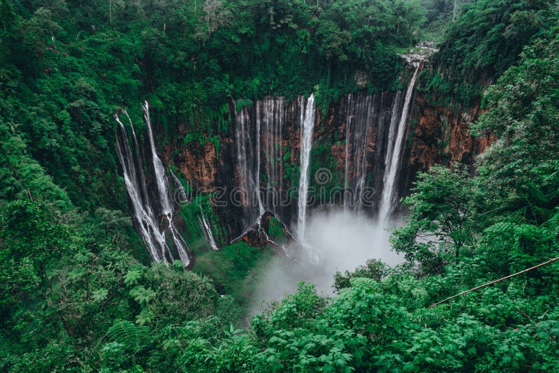 Tall Waterfall in the Middle of a Forest on Java Island Stock Photo ...