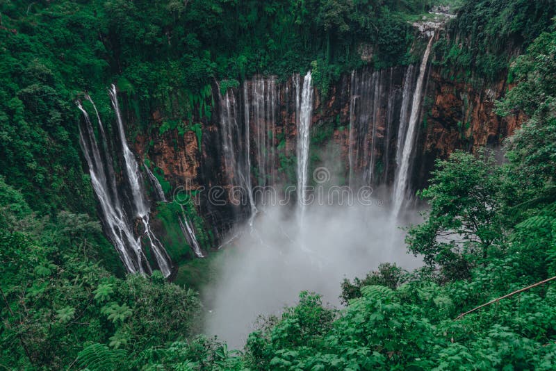 Tall Waterfall in the Middle of a Forest on Java Island Stock Image ...