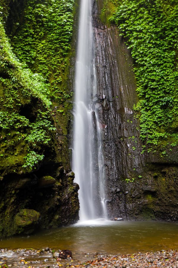A Tall Waterfall in a Tropical Rainforest in Lombok, Indonesia Stock ...