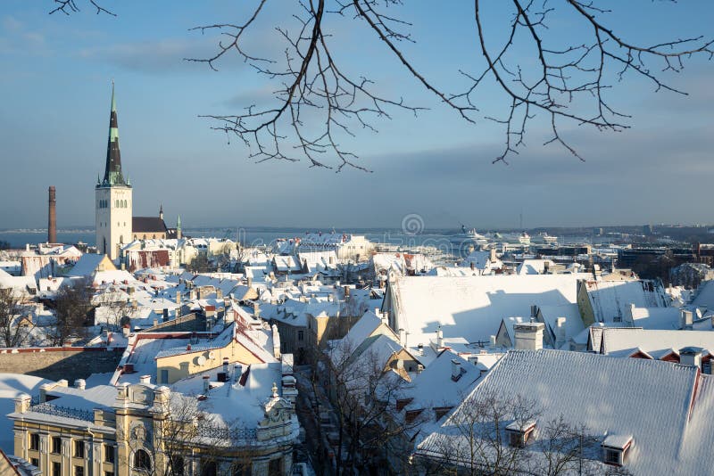 Winter Tallinn View with Flag Stock Photo - Image of path, fall: 28753388