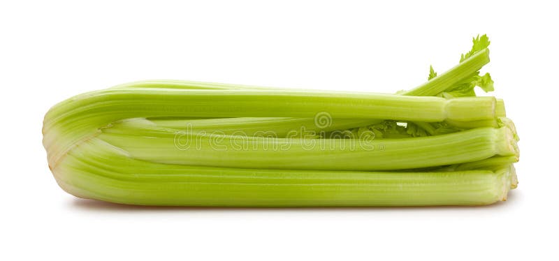 Tallo de apio imagen de archivo. Imagen de truncamiento - 214340949