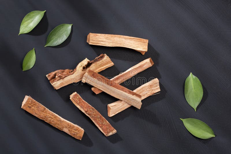 Troncos Del Chaparro Amargo - Erecta Spp De Castela Texana Espacio Del ...