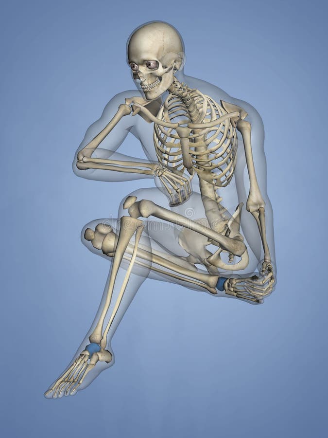 Talus Bone, 3D Model stock illustration. Illustration of ankle - 95584164