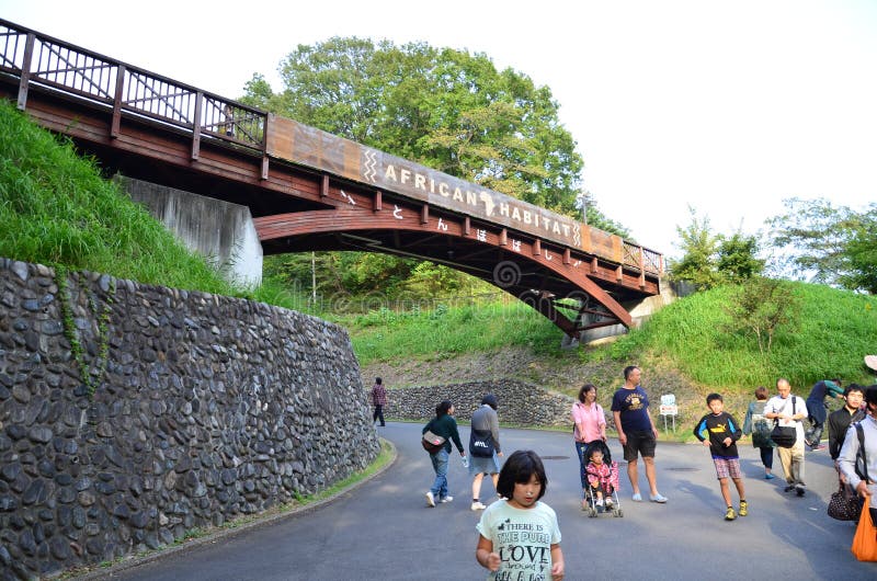 Tama zoo editorial stock image. Image of tourism, overpass - 45552554
