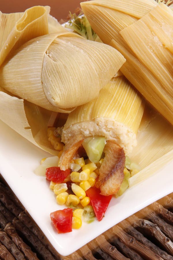 Tamale stock photo. Image of contemporary, hors, delicacy - 10393796
