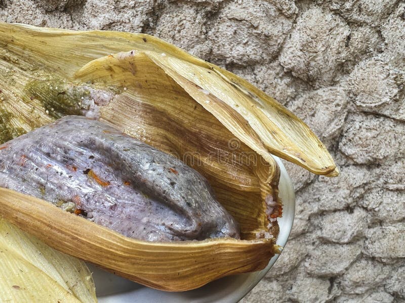 Oaxaca Maiz Stock Photos - Free & Royalty-Free Stock Photos from Dreamstime