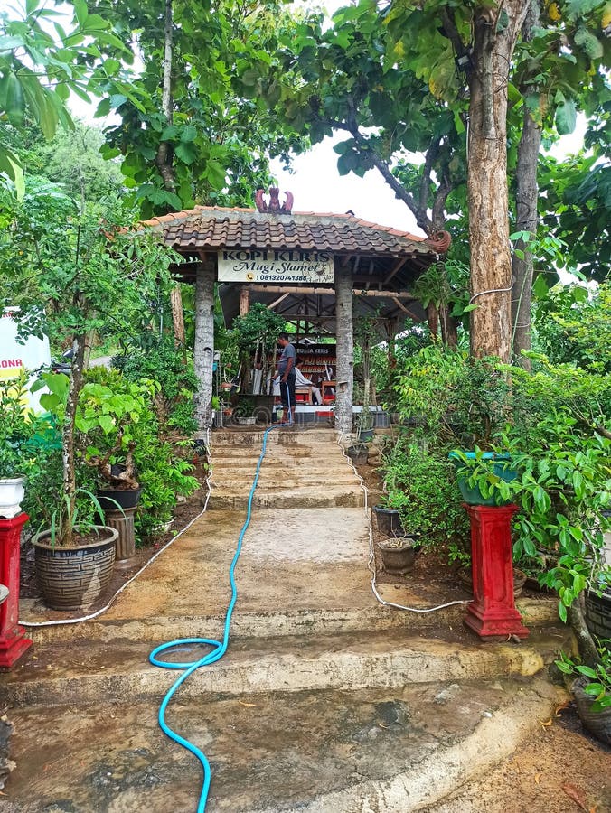 Very Shady and Beautiful Garden Editorial Photo - Image of yard, rbun ...